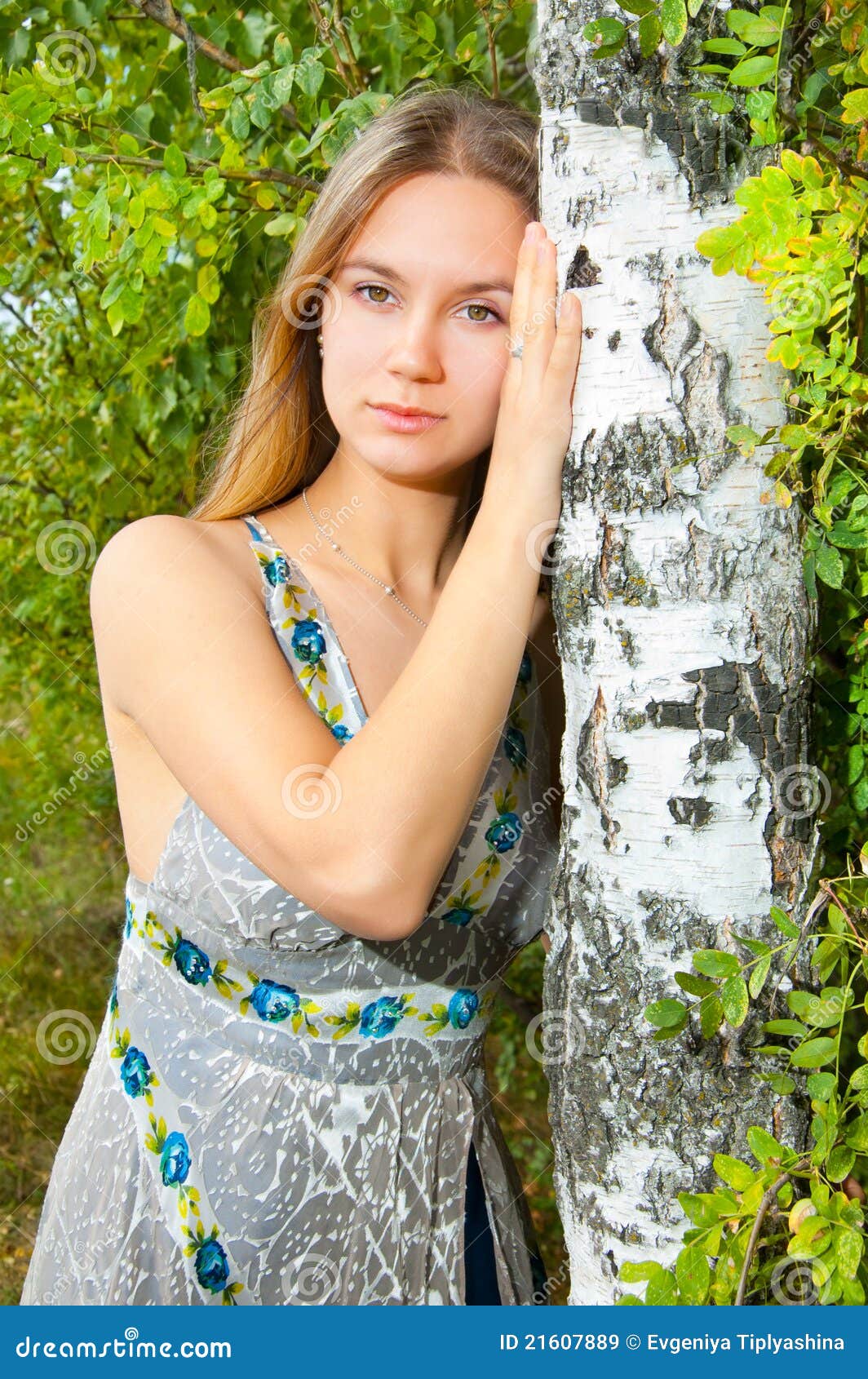 Girl near birch stock image. Image of fair, grand, european - 21607889