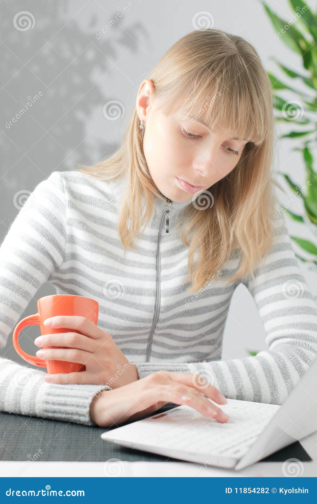 Girl with notebook stock photo. Image of businesswoman - 11854282