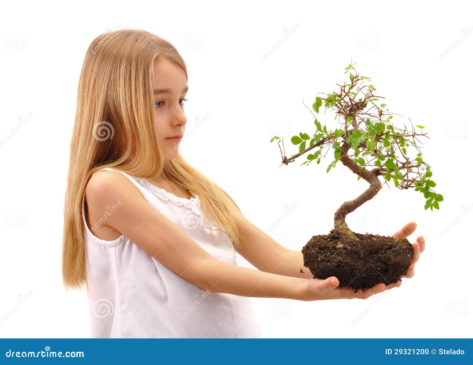 Girl offers tree stock photo. Image of ecology, happy - 29321200