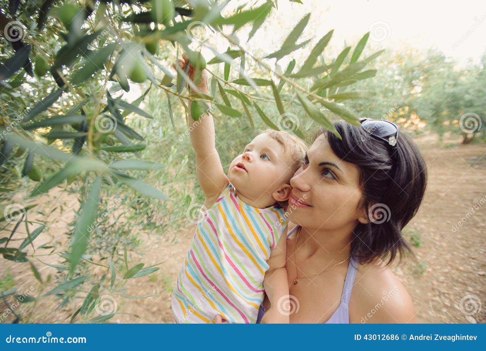 Girl and Olive Tree stock photo. Image of happiness, holding - 43012686