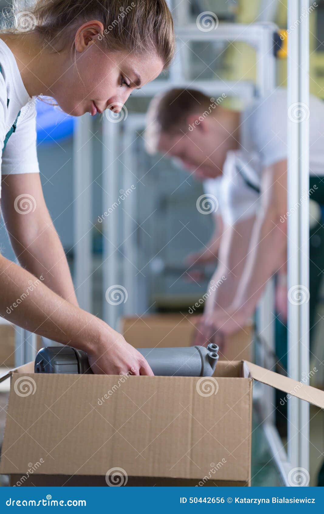 Girl packing the box stock photo. Image of single, employee - 50442656