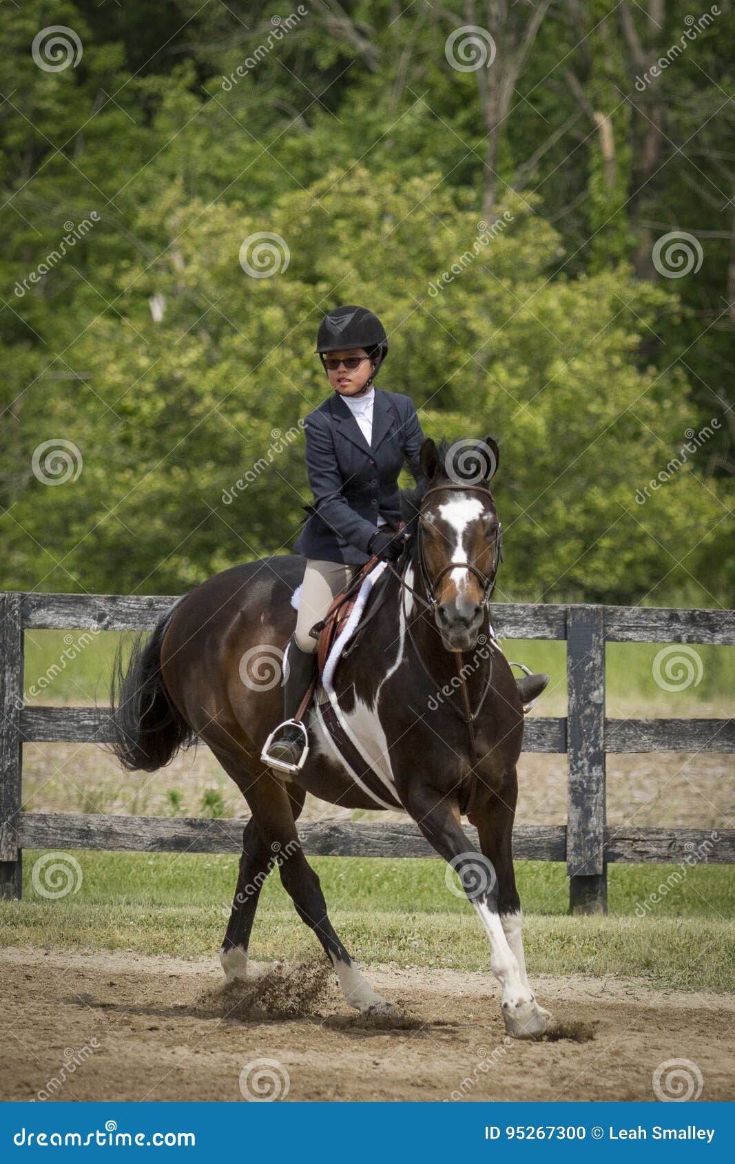 Girl and Paint Horse Cantering Stock Photo - Image of fence, class ...
