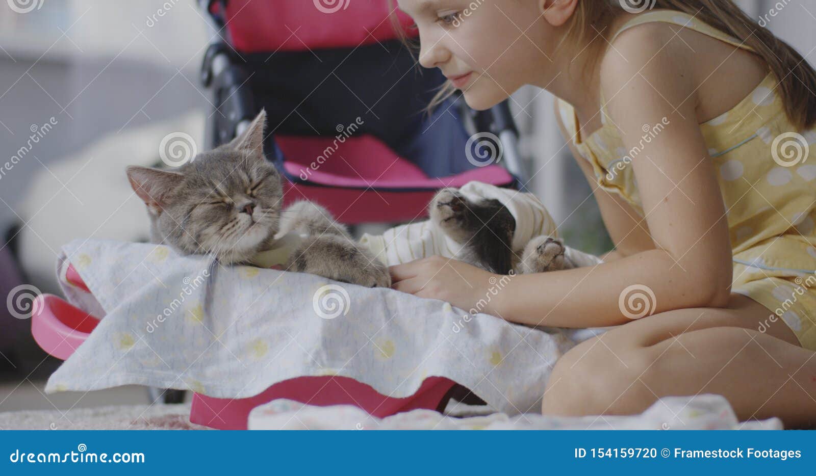 Girl pampering a cat stock photo. Image of cherish, inside - 154159720