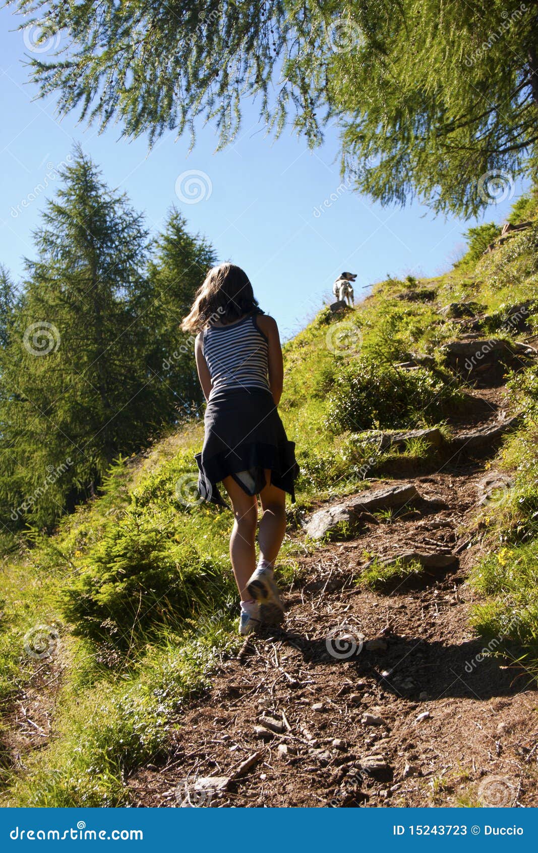 Girl on the path stock image. Image of forest, natural - 15243723