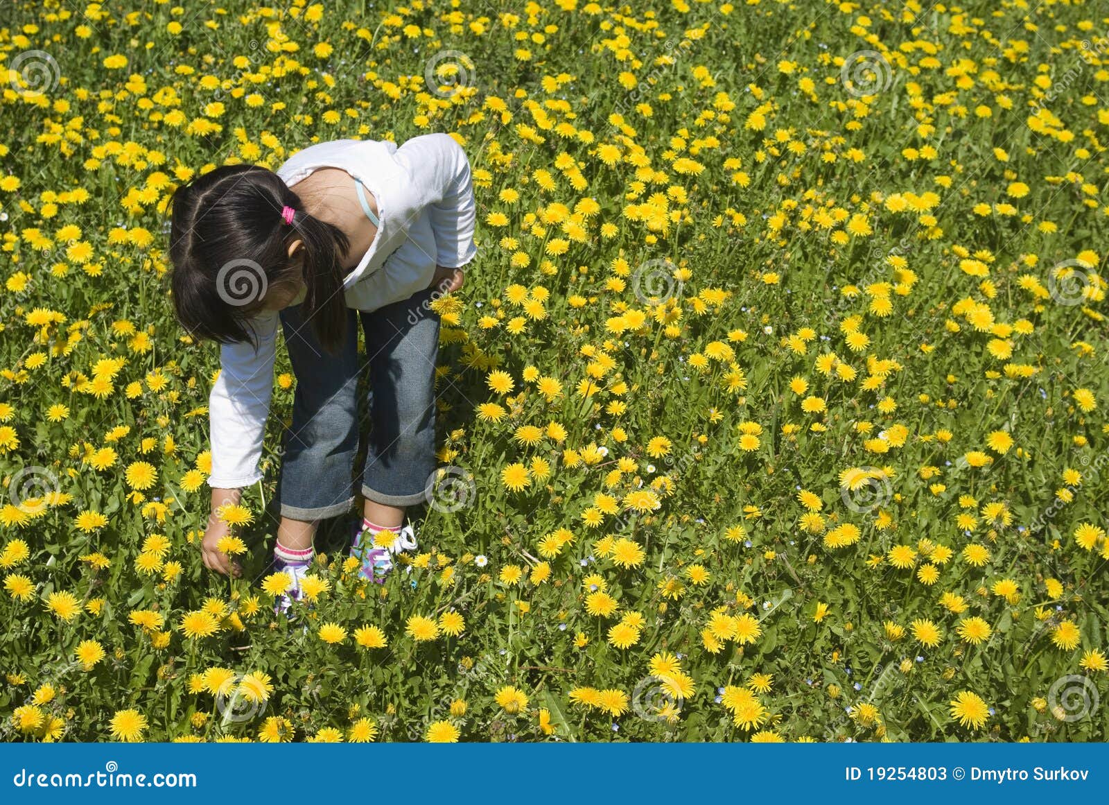 Girl picking flowers stock image. Image of attractive - 19254803