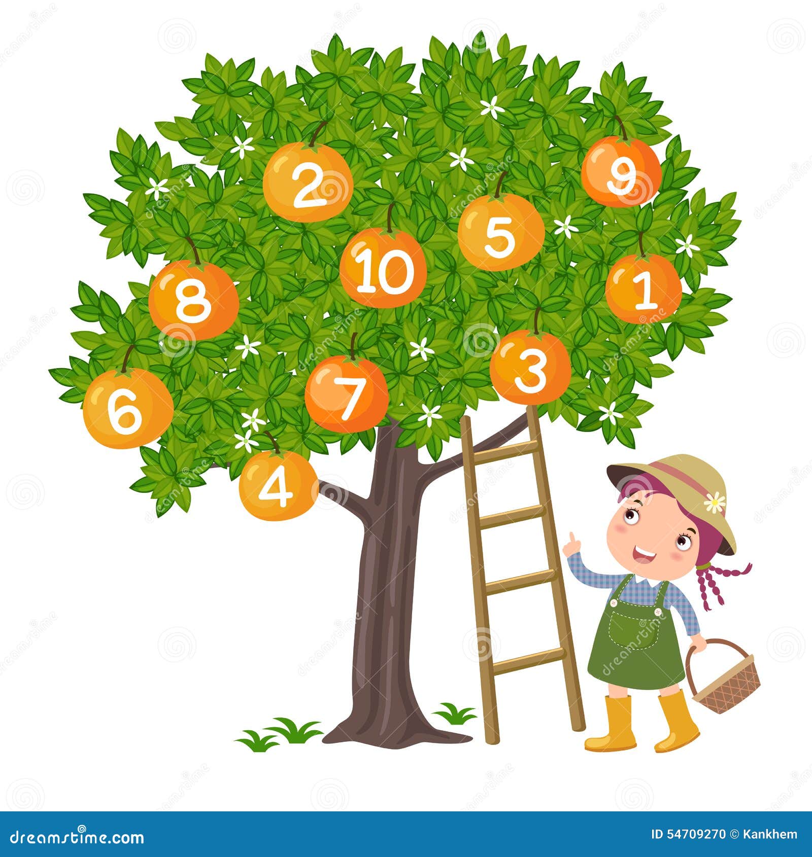 Girl picking orange stock vector. Illustration of math - 54709270