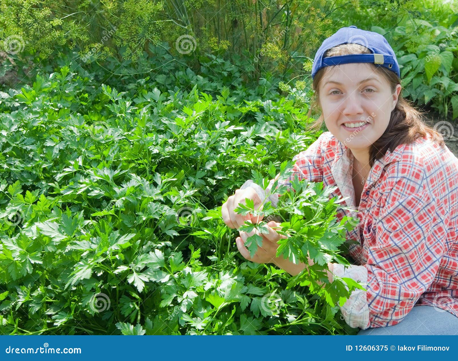 Girl Picking Parsley in Field Stock Image - Image of green, pick: 12606375