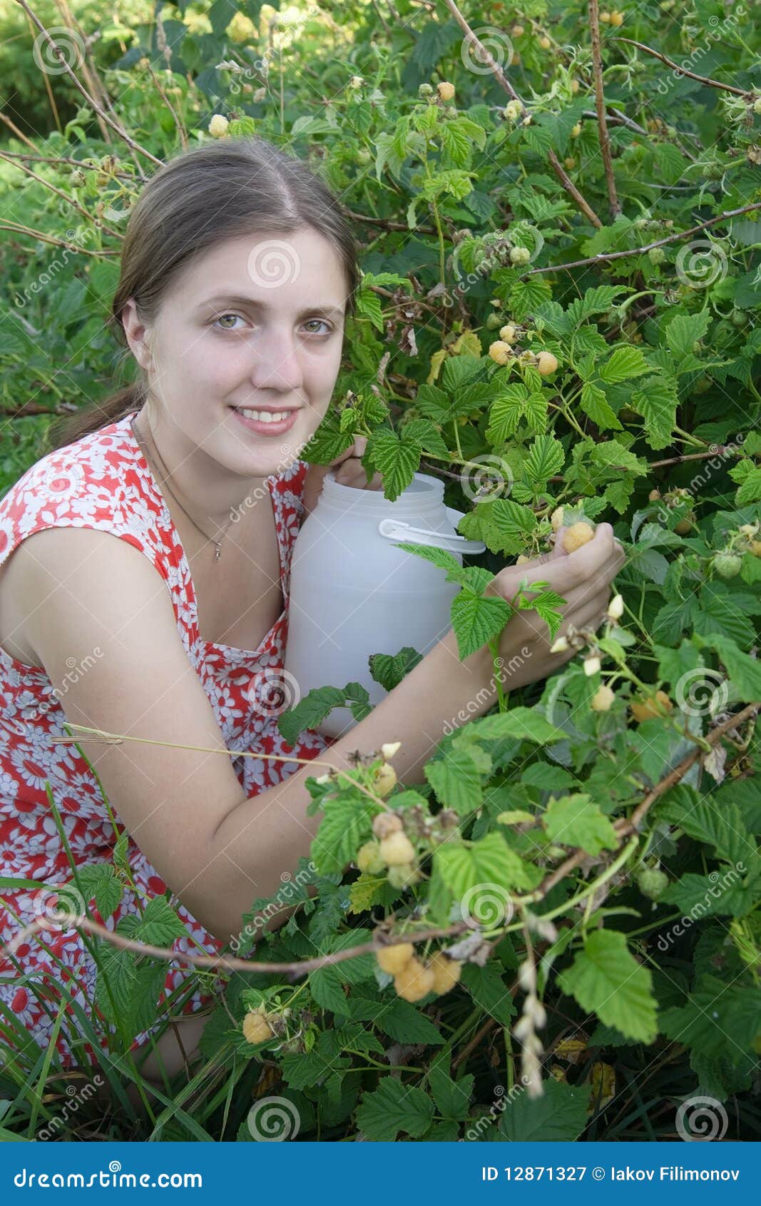Girl Picking Raspberry in the Field Stock Image - Image of garden, pick ...