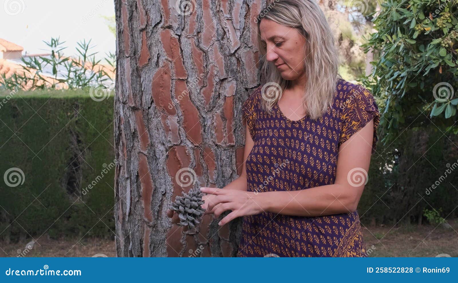 A Girl at a Pine Tree with a Cone in Her Hands Stock Footage - Video of ...
