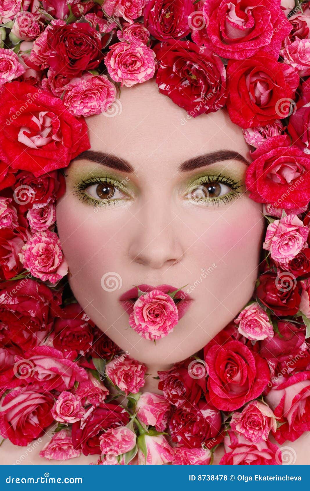 Girl in pink roses stock photo. Image of glamour, model - 8738478