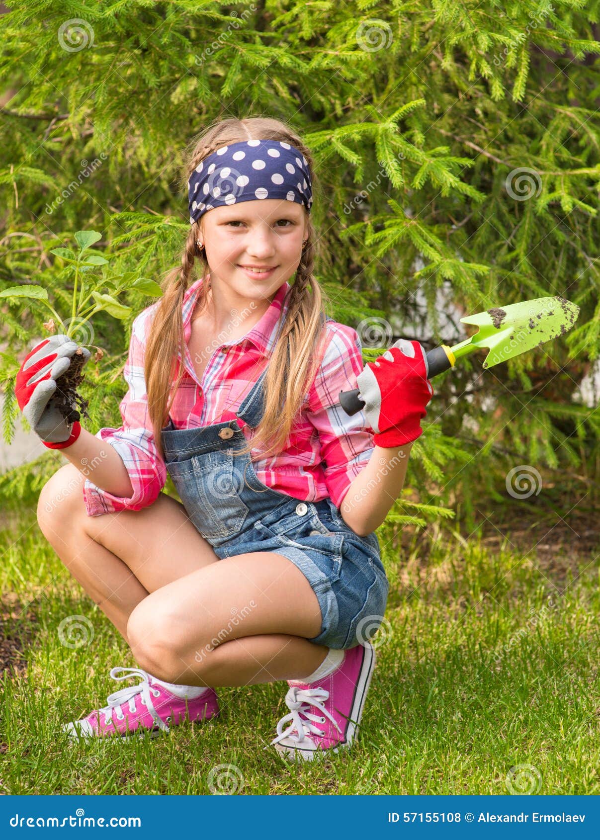 Planting Plants In Soil In Order Of Germination Or Plant Growth And ...