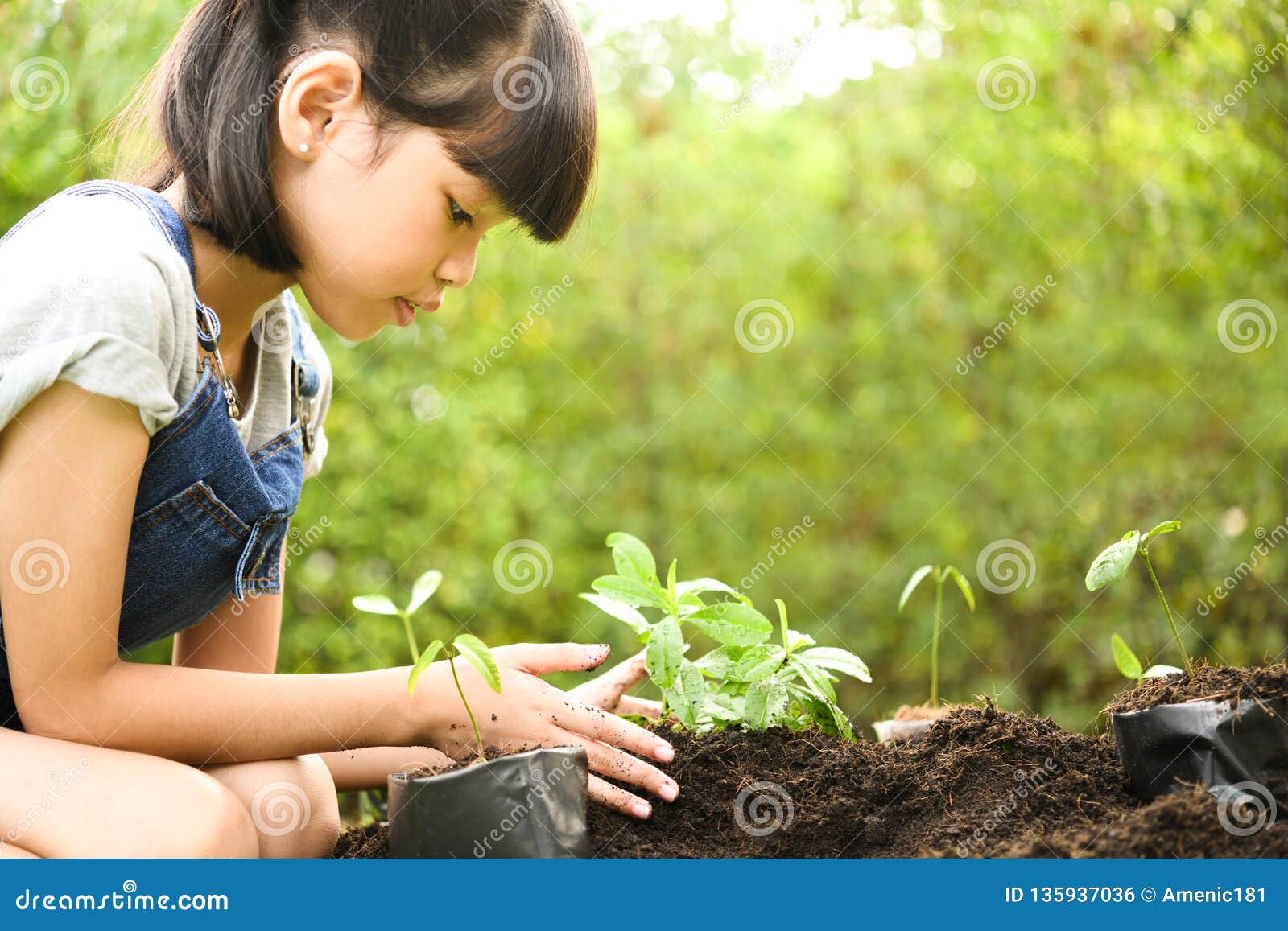 A Girl Planting Young Plants on Soil Stock Photo - Image of plant ...