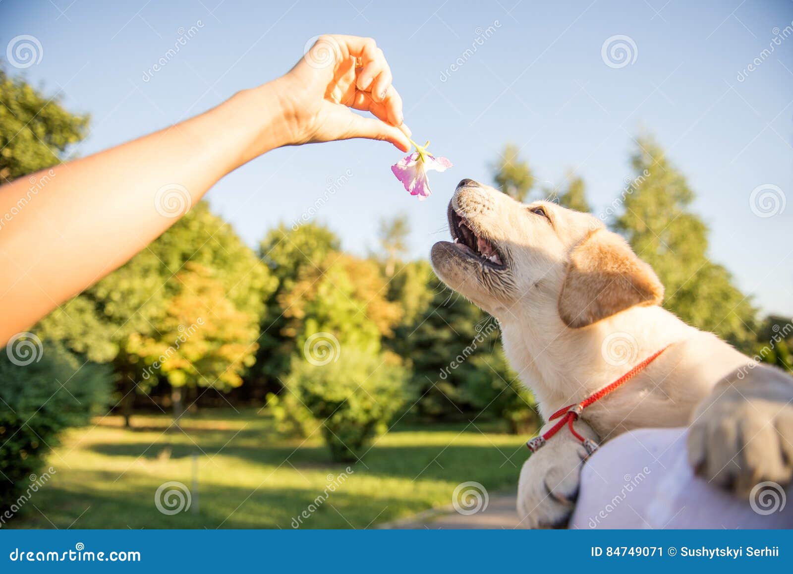 Labrador Park Jetty In Singapore Stock Photo | CartoonDealer.com #16672638