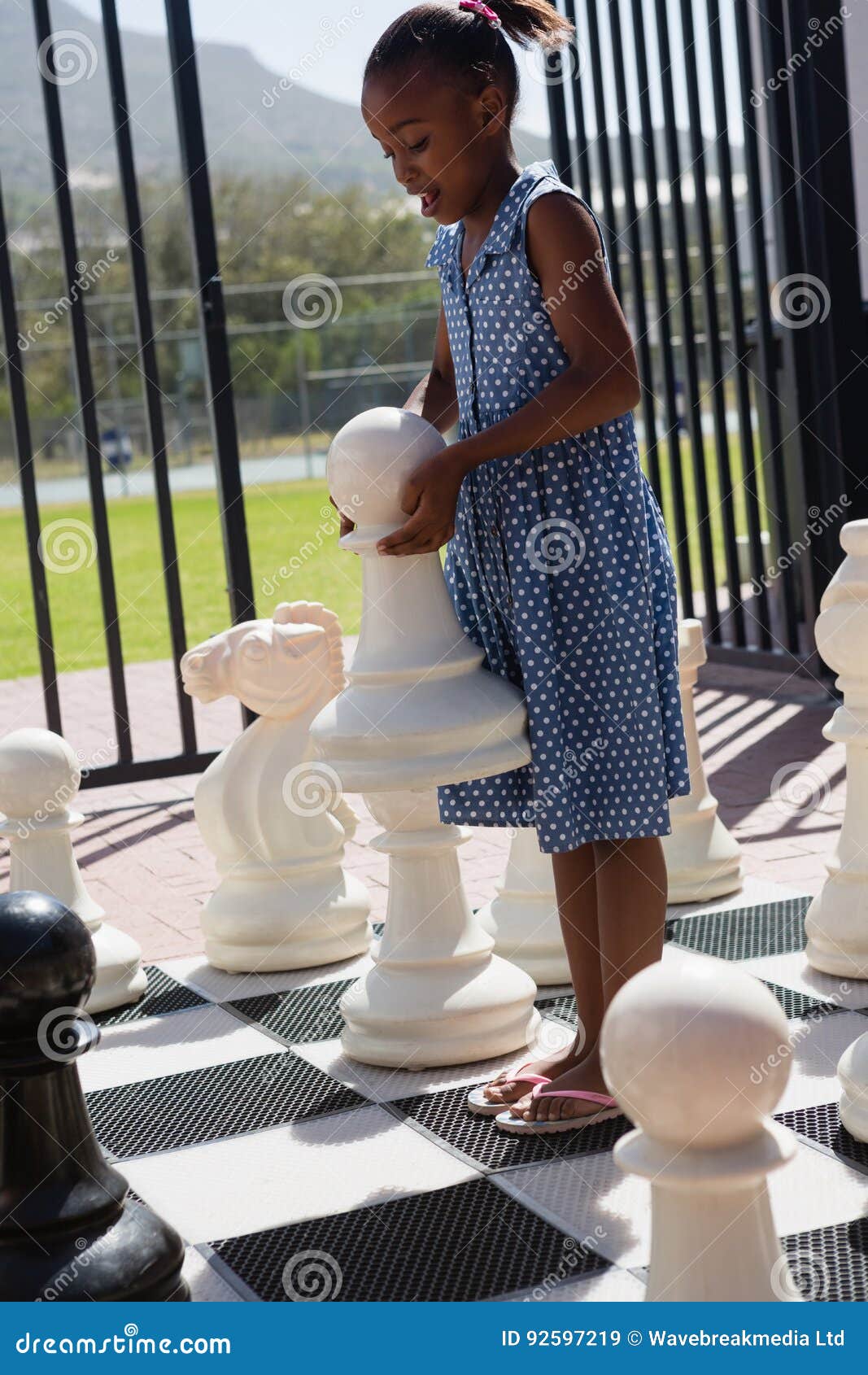 Large Chess Pieces On The Grass Stock Image | CartoonDealer.com #59570221