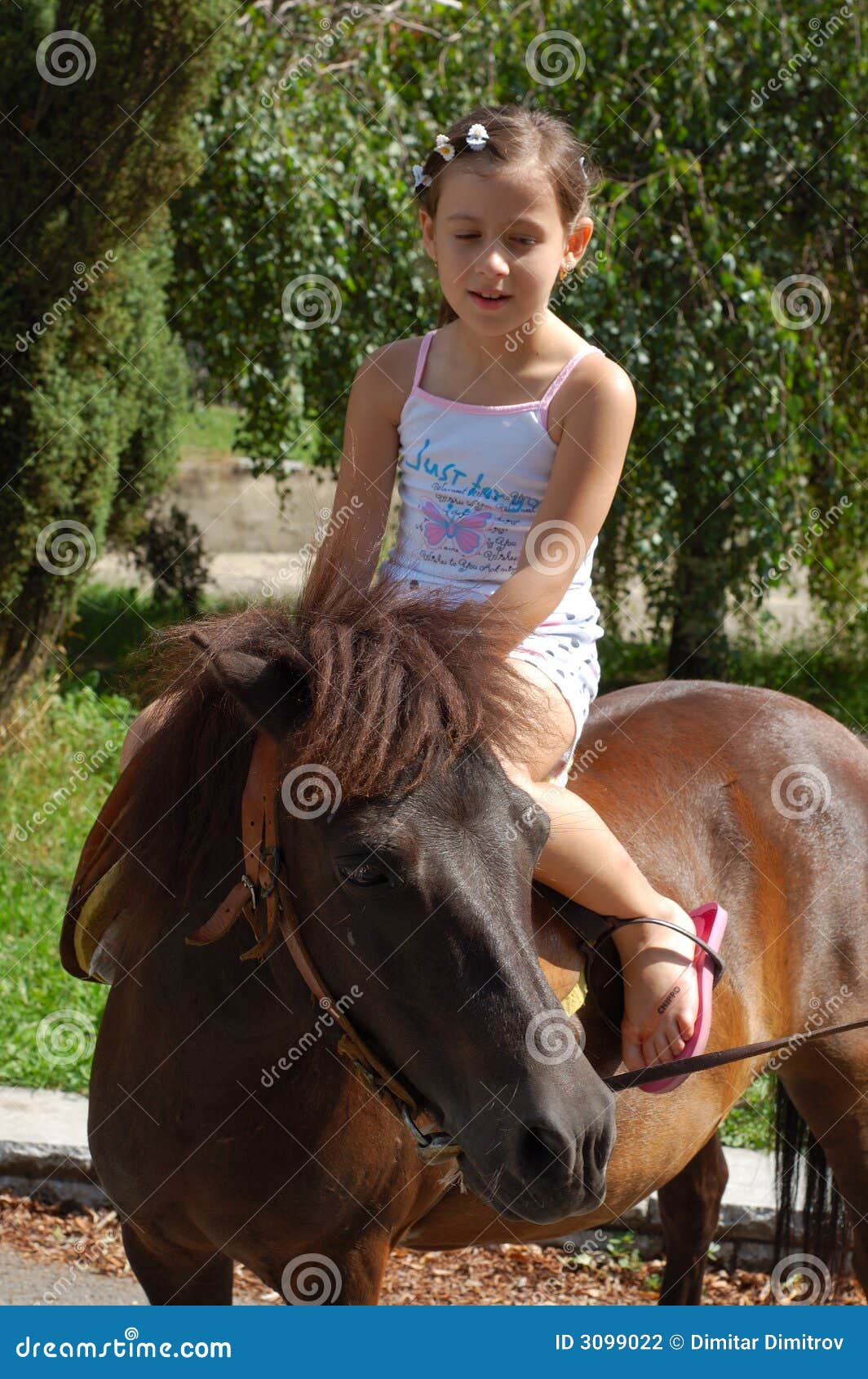 Girl on a pony stock photo. Image of race, farm, jumping - 3099022