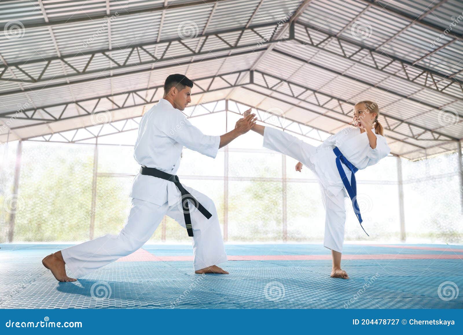 Girl Practicing Karate with Coach on Tatami Outdoors Stock Image ...