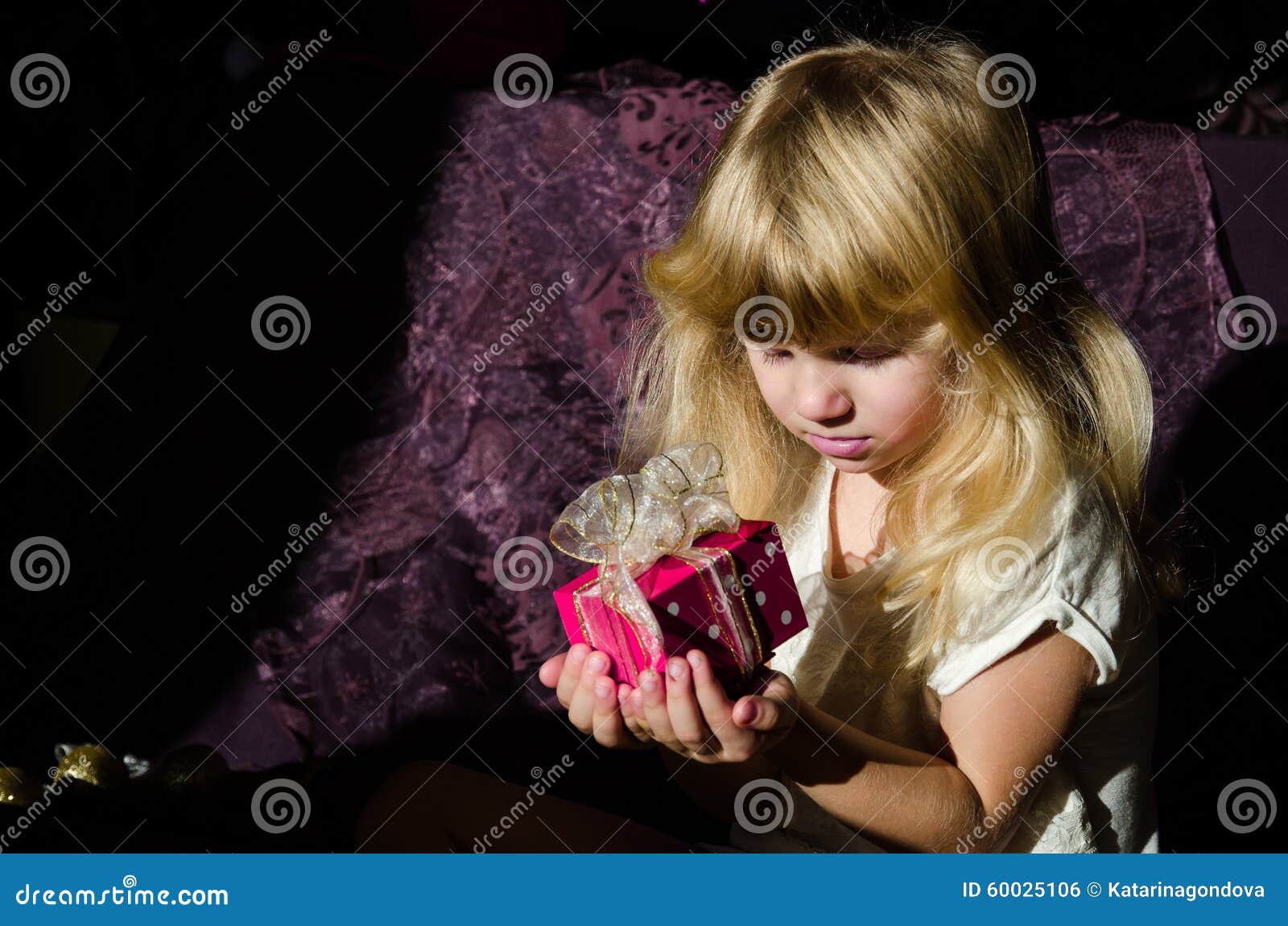 Girl with present stock photo. Image of present, happy - 60025106