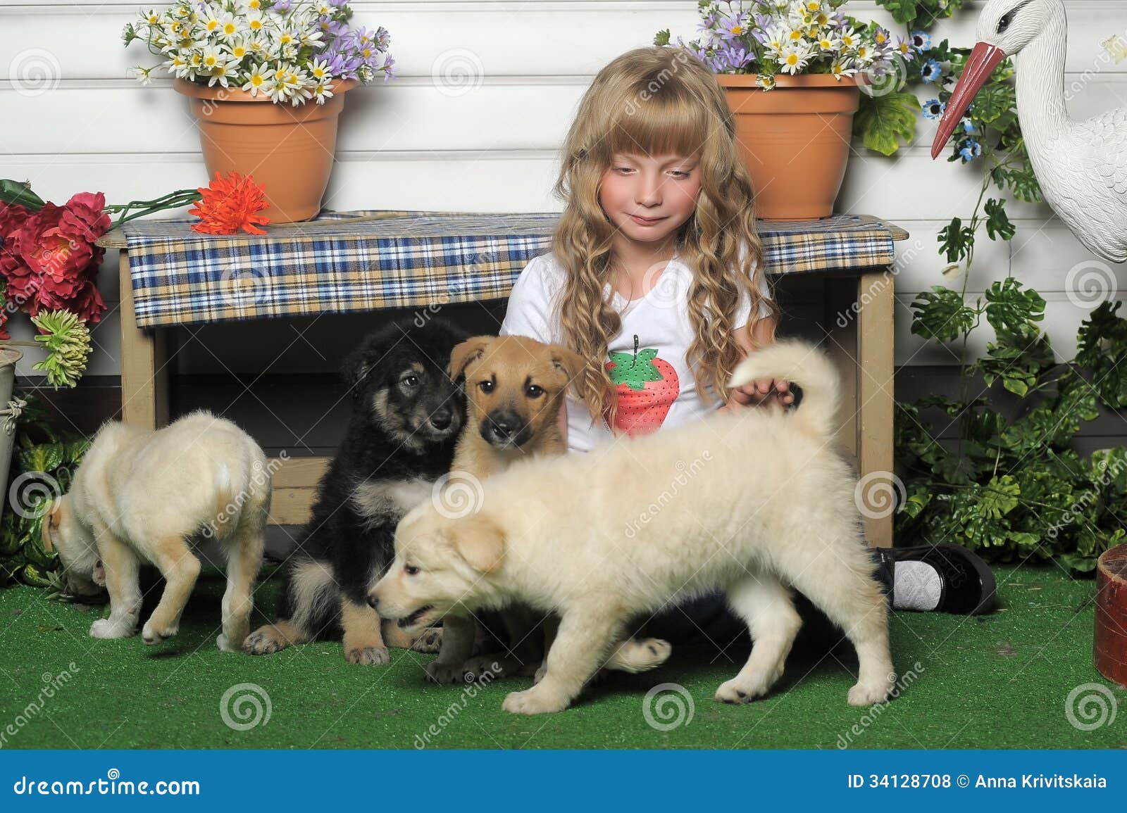 Girl with puppies stock photo. Image of affectionate - 34128708