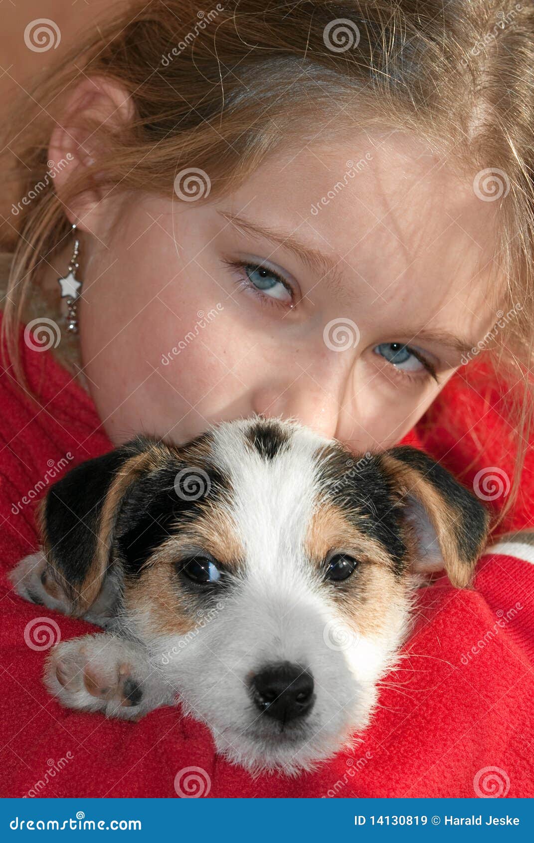 Girl with puppy dog stock image. Image of holding, closeup - 14130819
