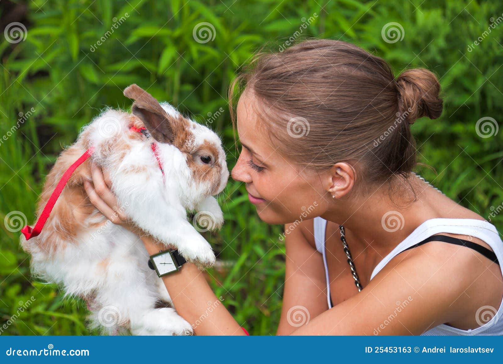 Girl with a rabbit. stock image. Image of attractive - 25453163