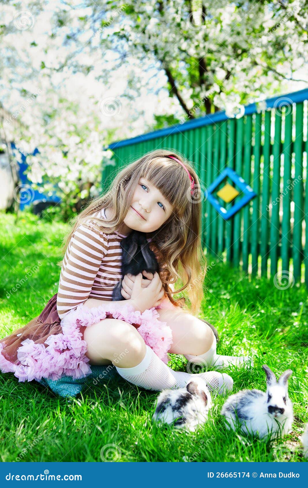 Girl with rabbit stock photo. Image of casual, adorable - 26665174