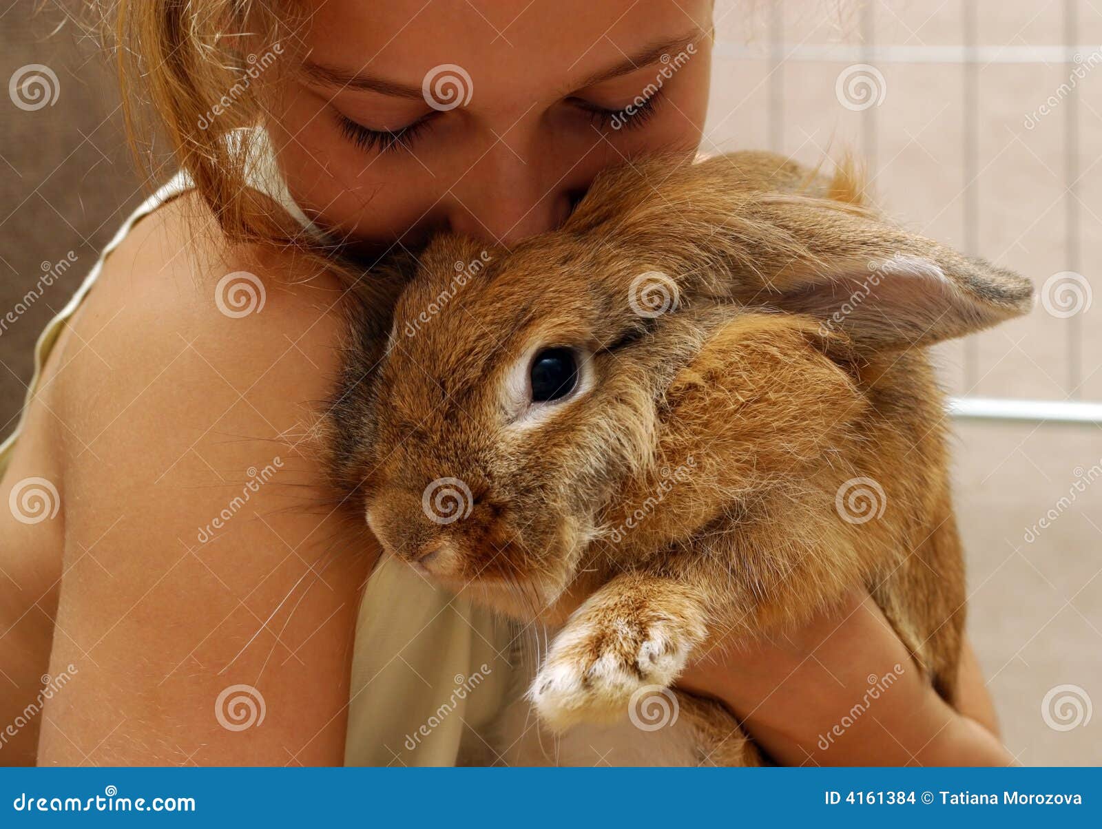 The girl with the rabbit stock photo. Image of face, preschool - 4161384