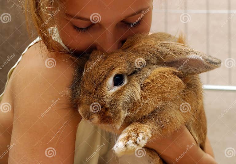 The girl with the rabbit stock photo. Image of face, preschool - 4161384