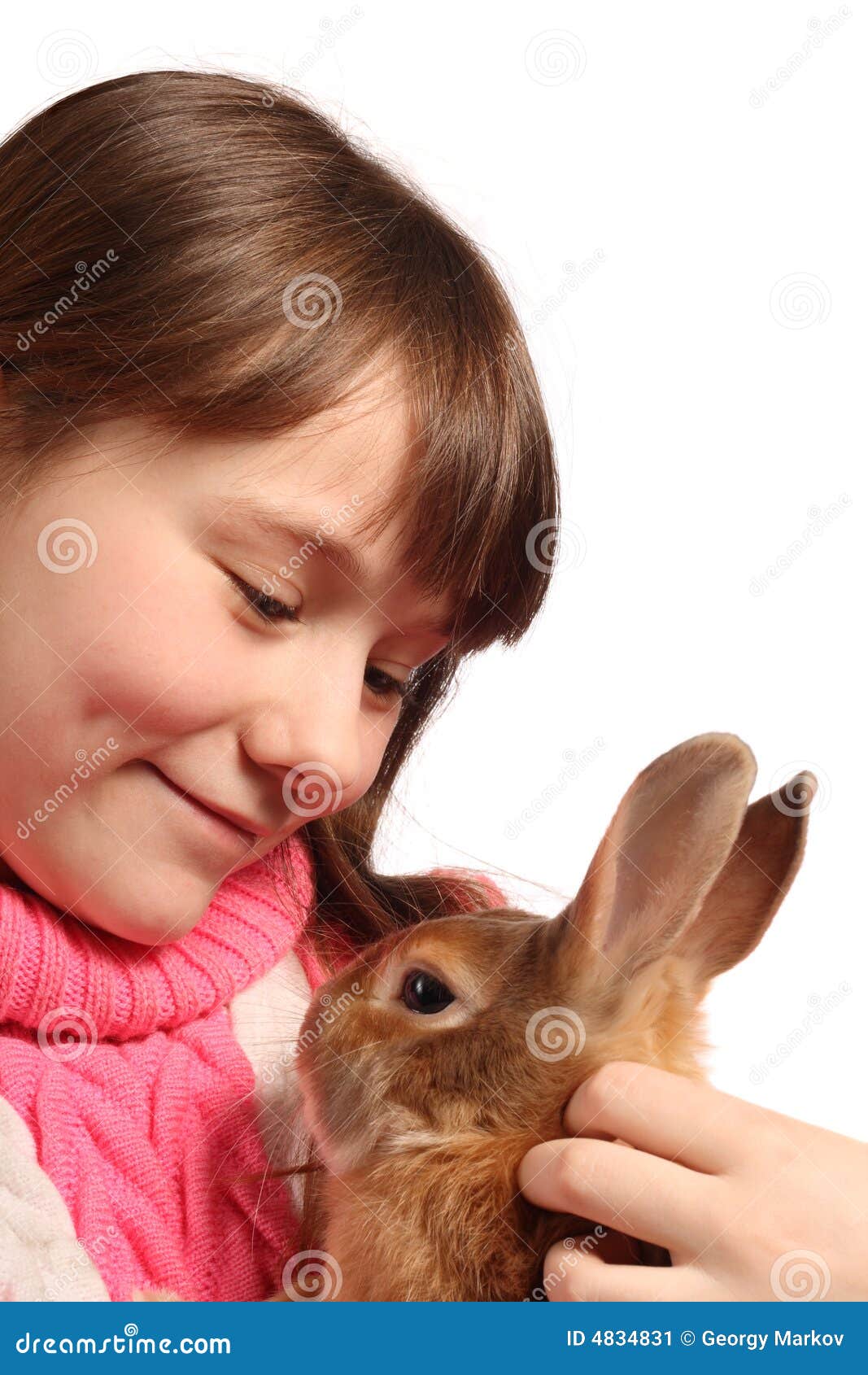 Girl with rabbit stock image. Image of rabbit, brown, isolated - 4834831