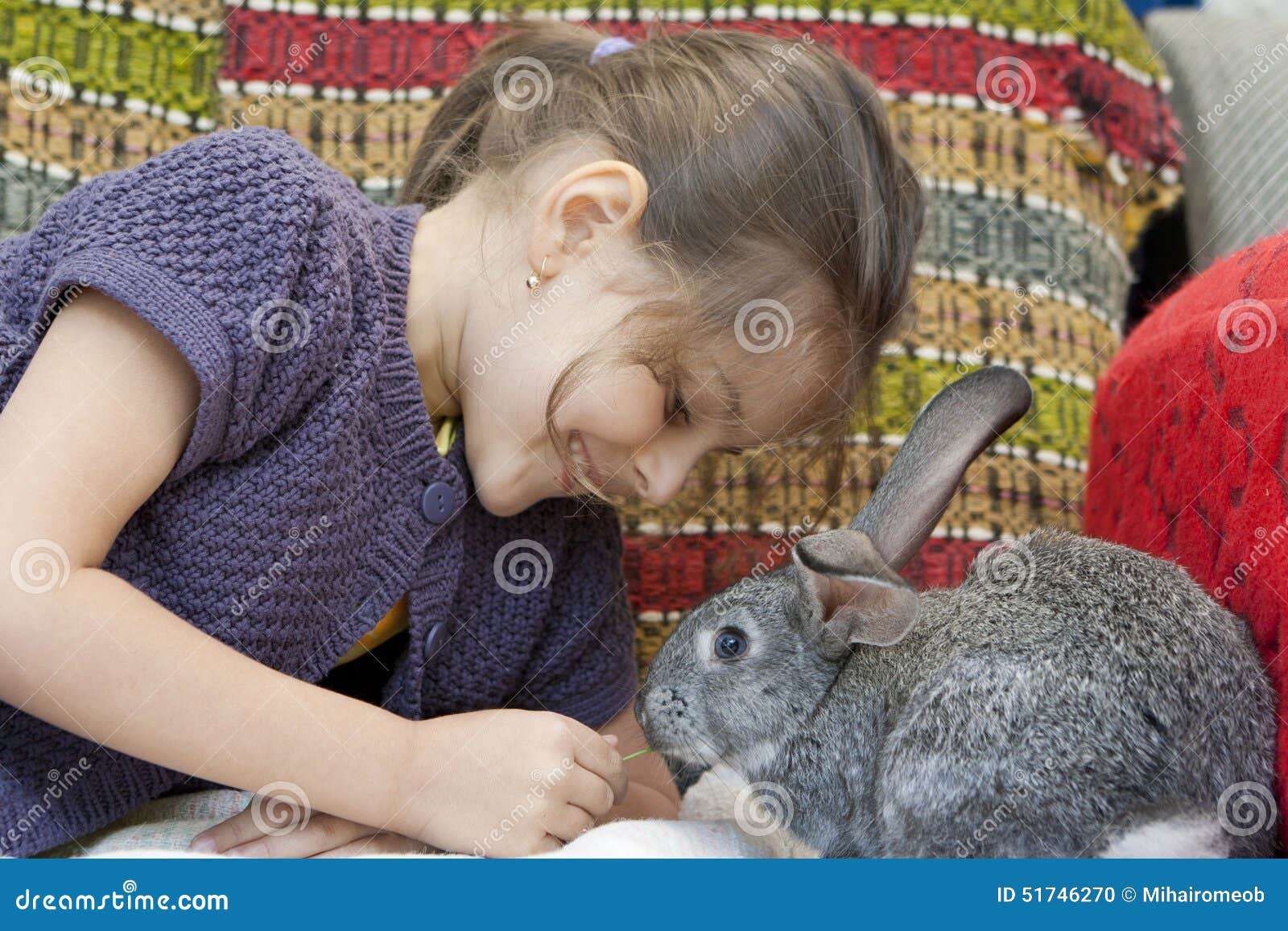 Girl and Rabbit stock photo. Image of small, young, eating - 51746270