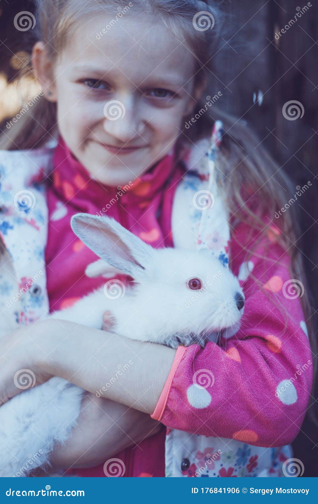 Girl and rabbit stock photo. Image of life, little, animal - 176841906