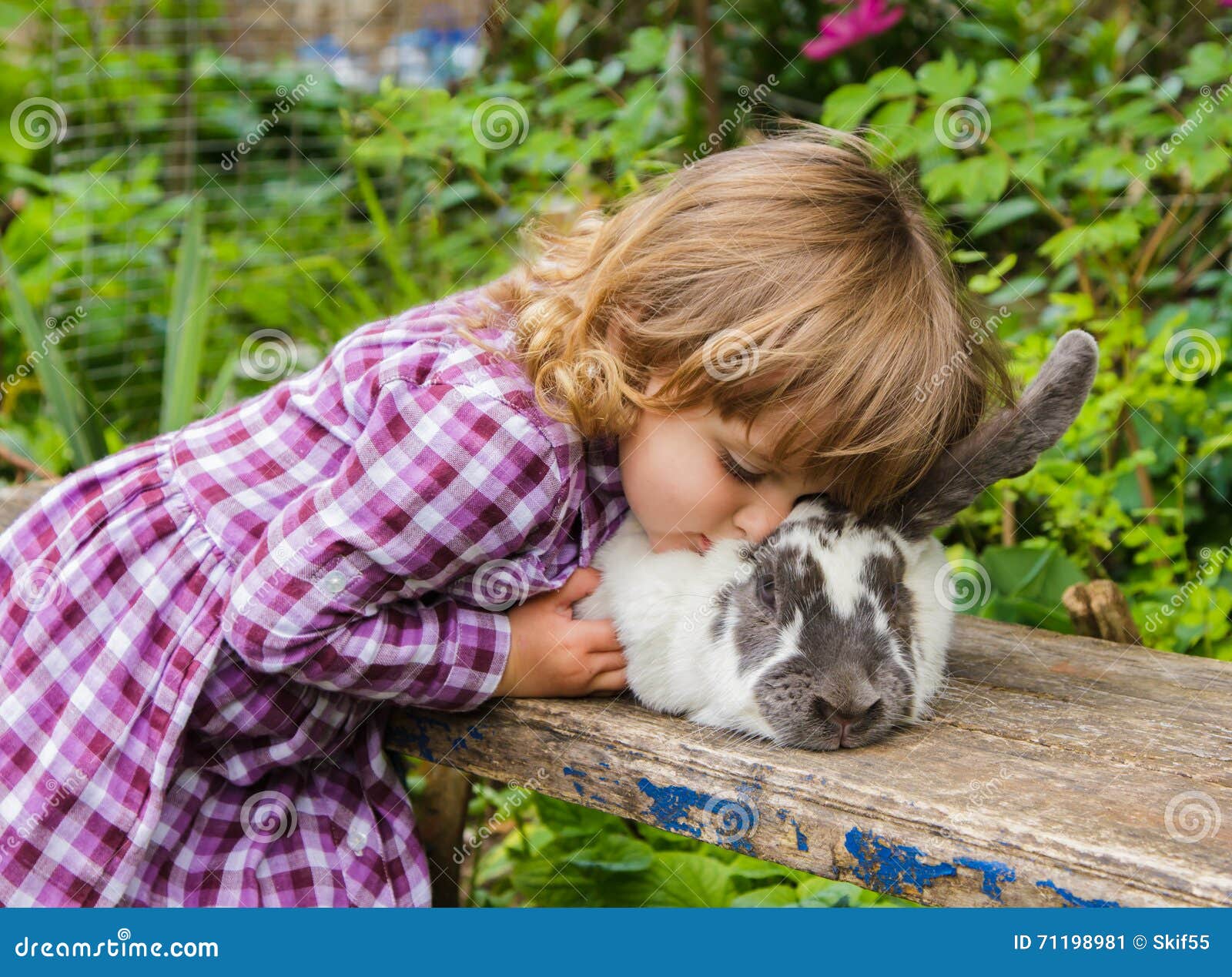 Girl and rabbit stock image. Image of attractive, animal - 71198981