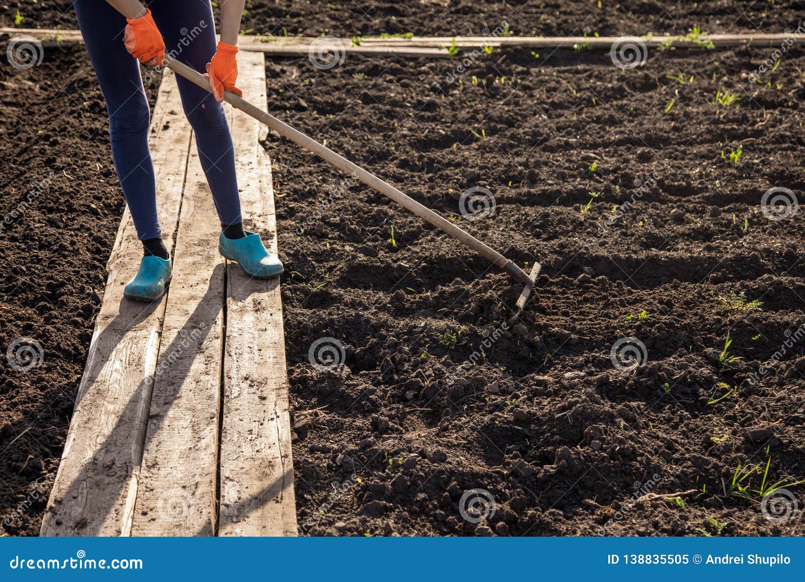 Girl with a Rake in the Garden Stock Image - Image of outdoor ...