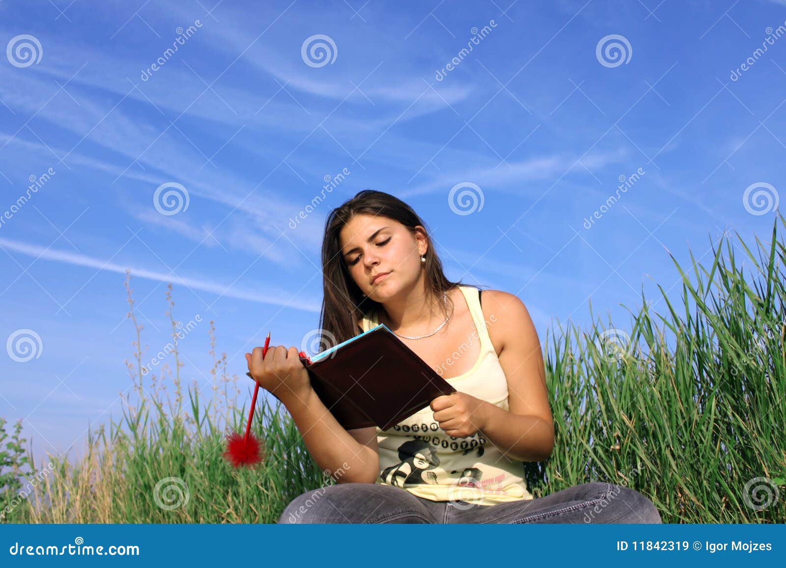 Girl reading stock image. Image of beauty, learning, book - 11842319