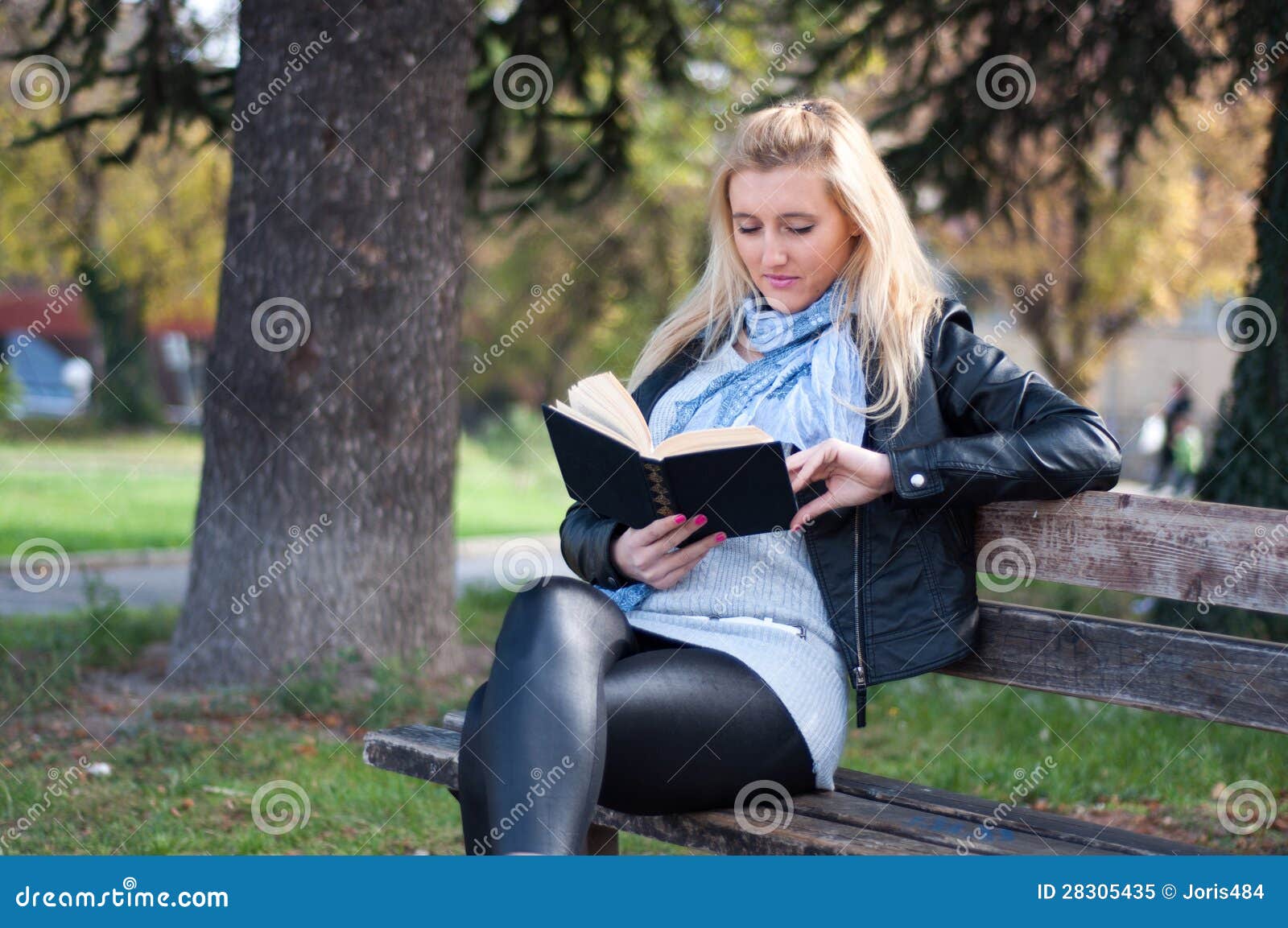 Girl is Reading a Book stock image. Image of book, beautiful - 28305435
