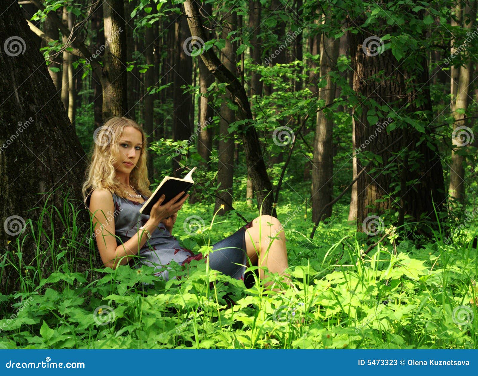 Girl, Reading a Book in a Forest Stock Image - Image of young, blond ...
