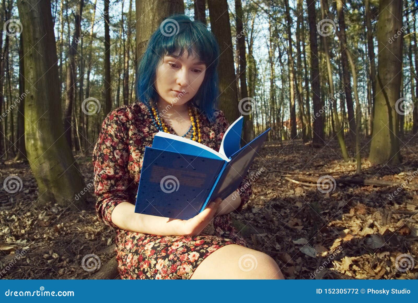 The Girl is Reading a Book in the Forest. Stock Photo - Image of forest ...