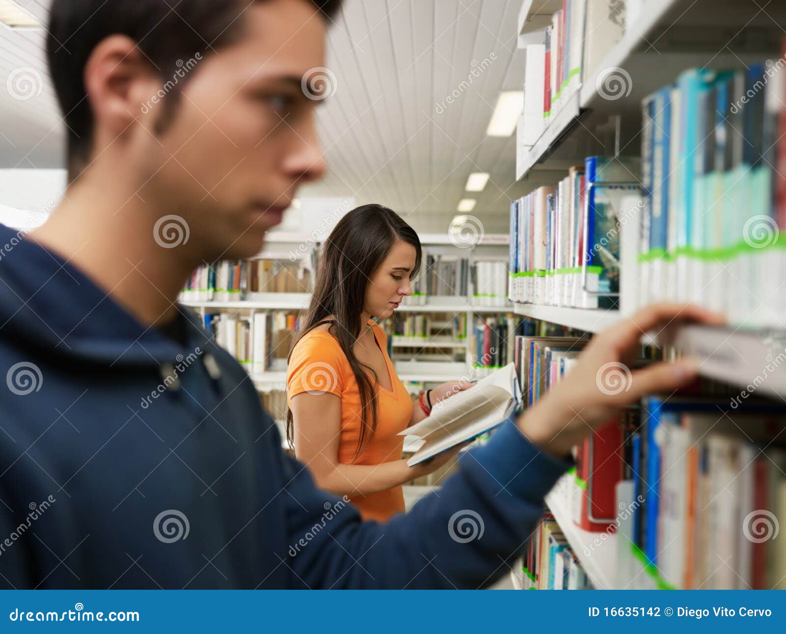 Girl Reading Book in Library Stock Photo - Image of long, hair: 16635142