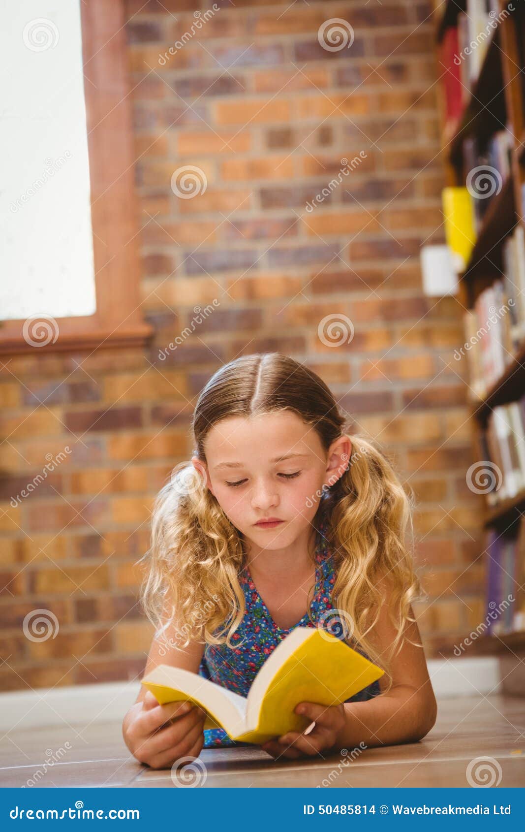 Girl Reading Book in Library Stock Photo - Image of foreground, books ...