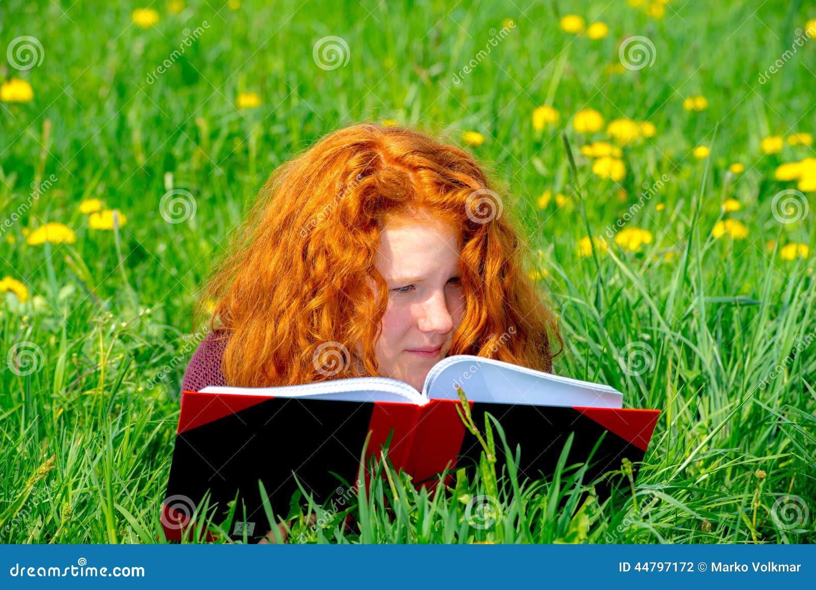 Girl is reading a book stock photo. Image of grassland - 44797172