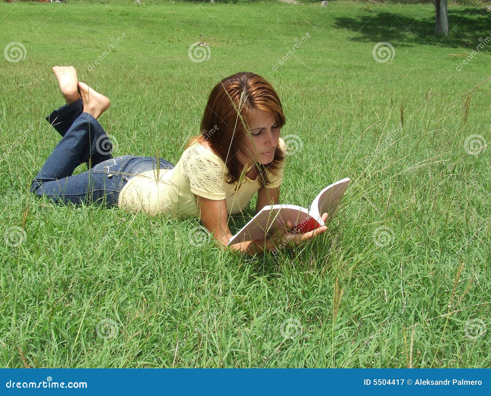 Girl reading on the grass stock image. Image of laying - 5504417