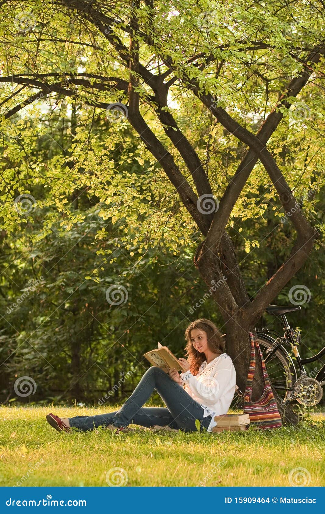 Girl reading in park stock photo. Image of recreation - 15909464