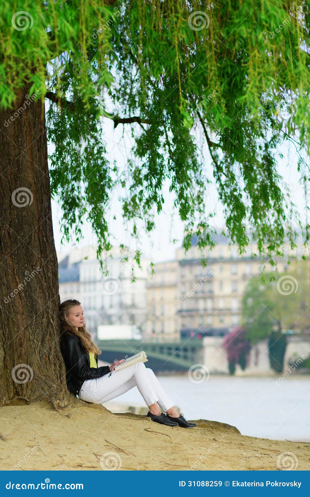 Girl reading under a tree stock image. Image of leisure - 31088259