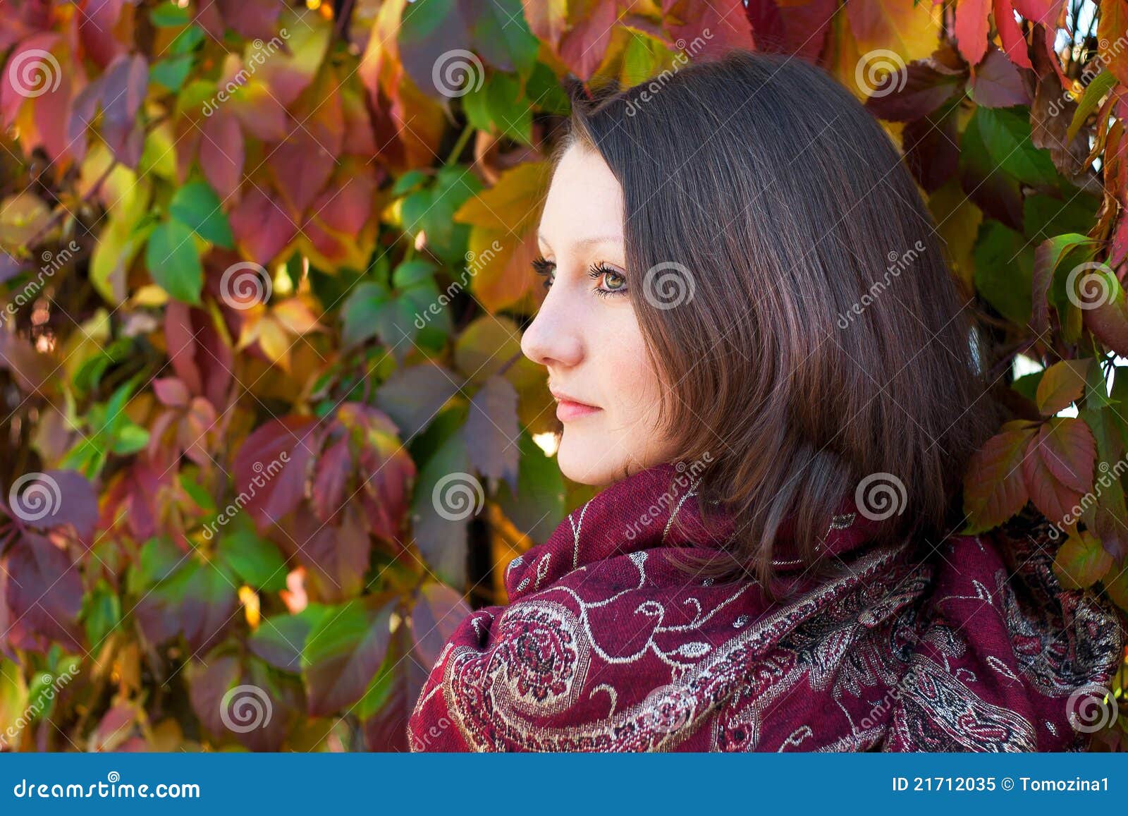 Girl and red leaves stock image. Image of people, adult - 21712035