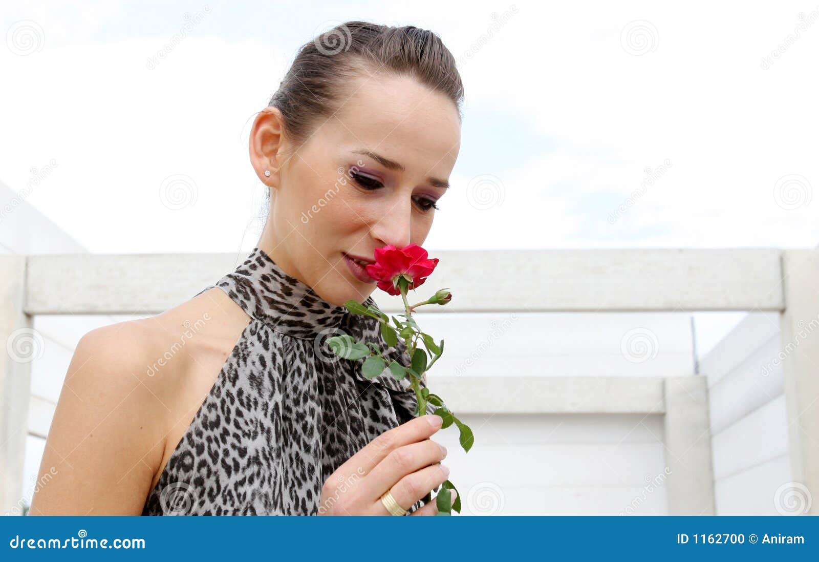 Girl with red rose stock photo. Image of flowers, rose - 1162700