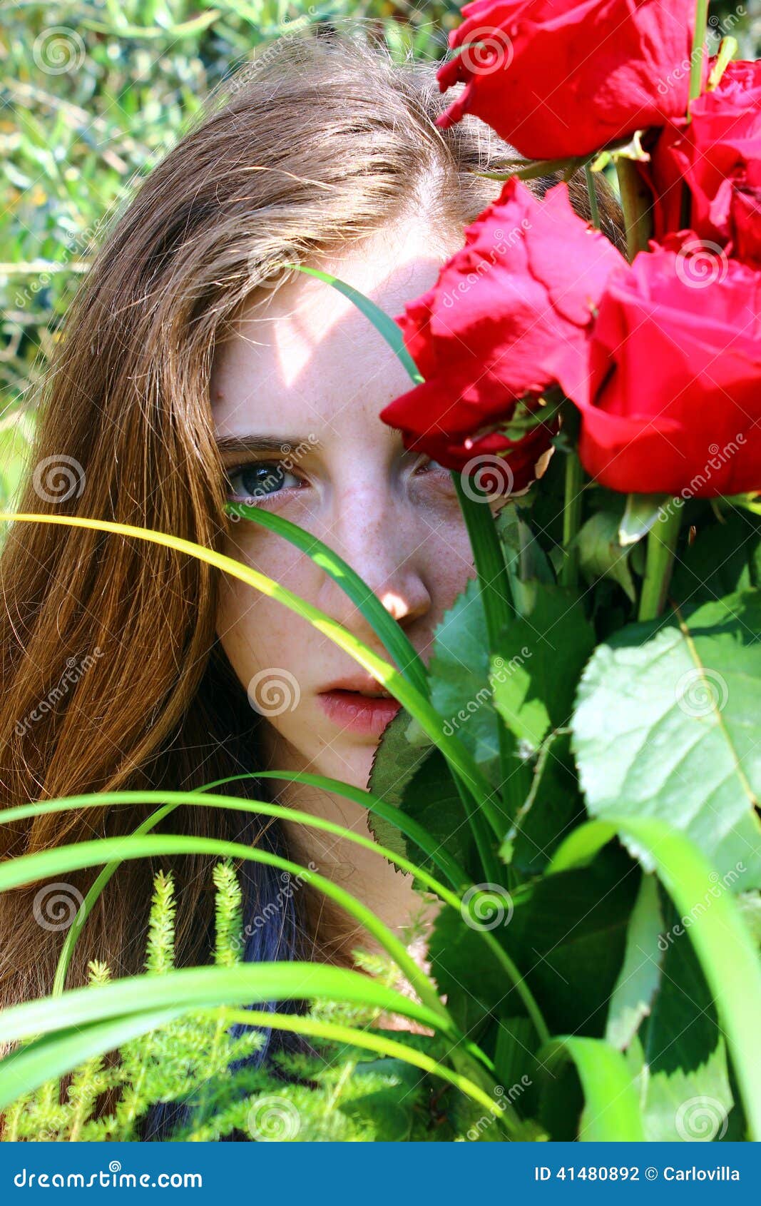 Girl with red roses stock photo. Image of anniversary - 41480892