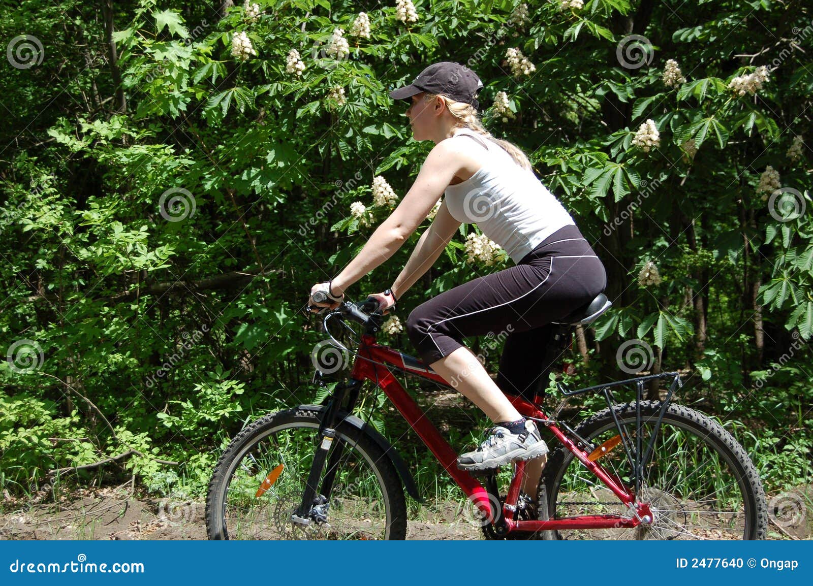 Girl relax biking stock photo. Image of nature, exercise - 2477640