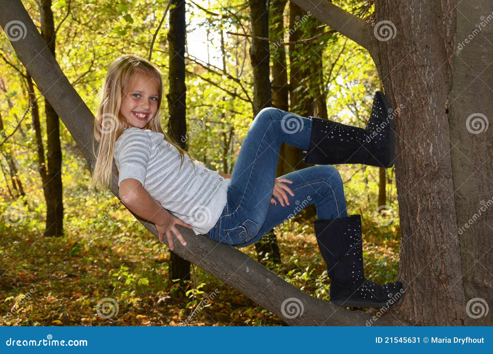 Girl resting in tree stock image. Image of style, sunshine - 21545631