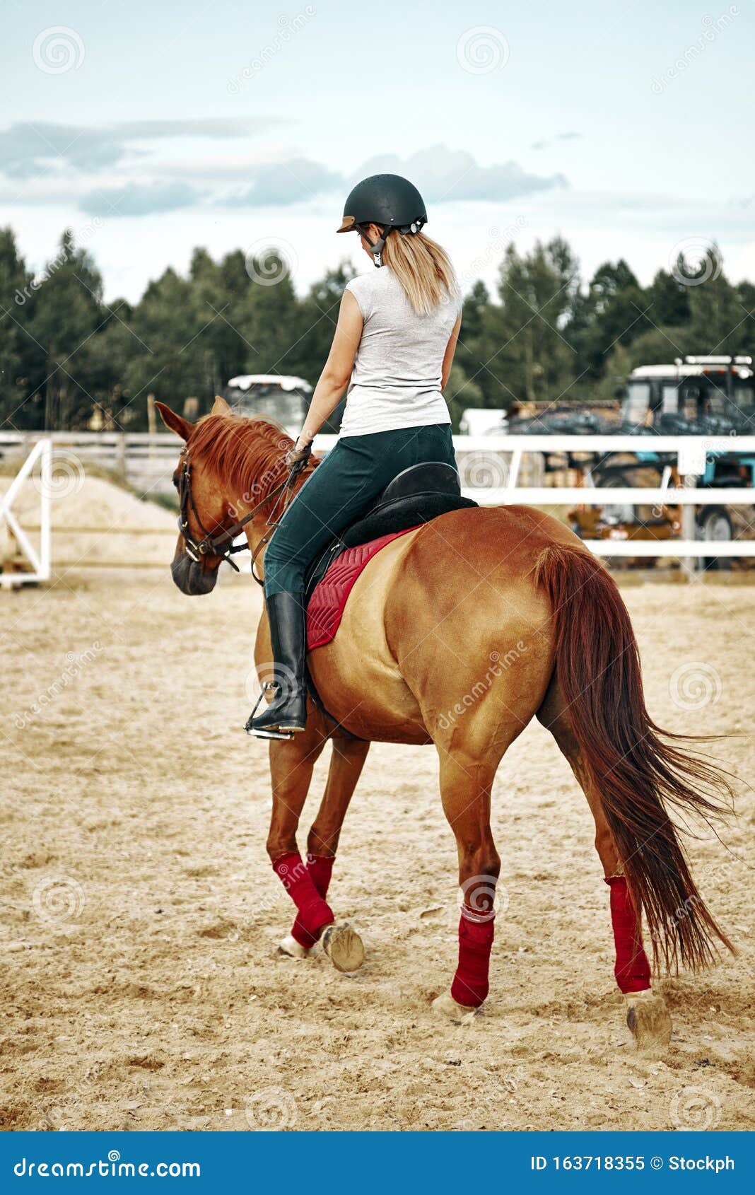 Girl Rider on Horseback. Horseback Riding Stock Image - Image of beauty ...