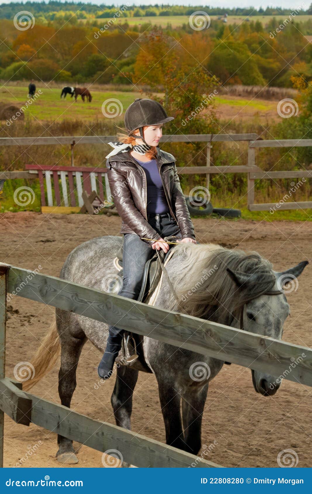 Girl rides a horse stock photo. Image of bridle, horseback - 22808280