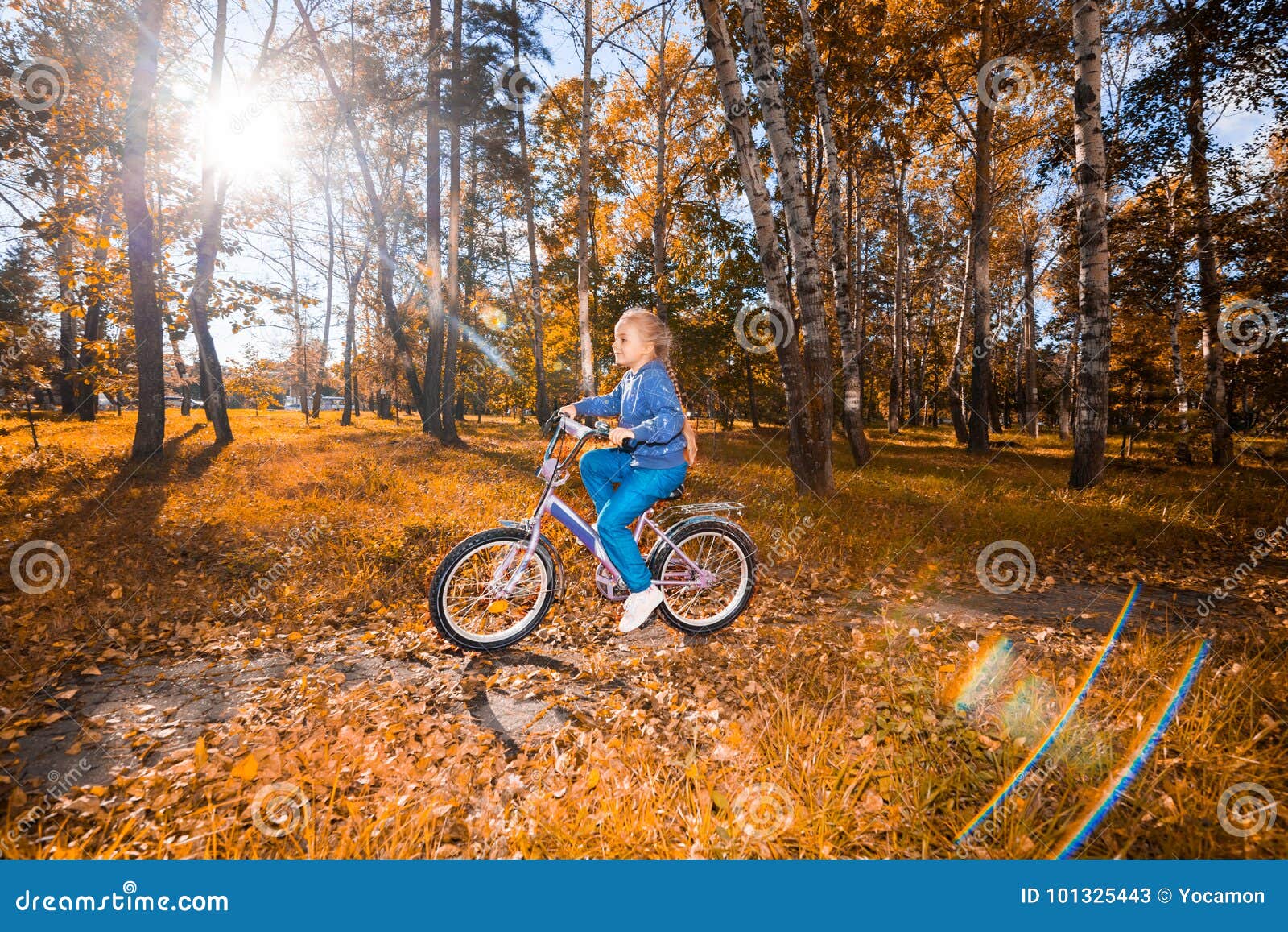 Girl Riding Bicycle in a Park Stock Image - Image of girl, tree: 101325443